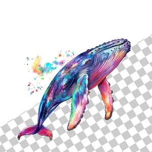 Humpback Whale Clipart, Watercolor Ocean Art, Digital Download PNG ...