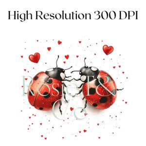 Ladybug and Love Heart Clipart, Watercolor Png, Valentine Clipart ...