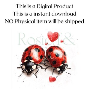 Ladybug and Love Heart Clipart, Watercolor Png, Valentine Clipart ...