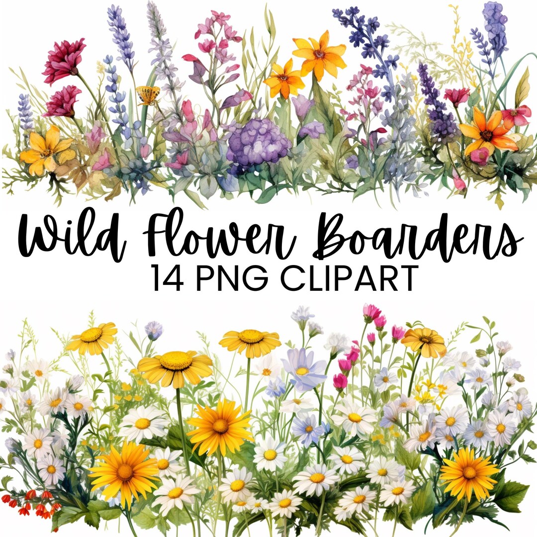 Wildflower Borders Clipart, Watercolor Floral PNG, Meadow Flower ...