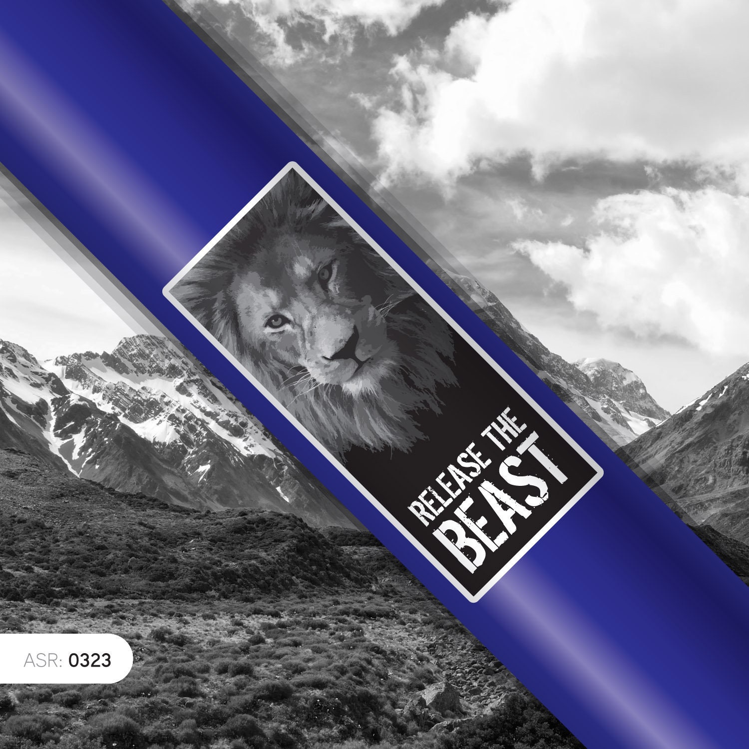 RELEASE THE BEAST Bike Top Tube or Stem Sticker OMS0323-325 | Etsy