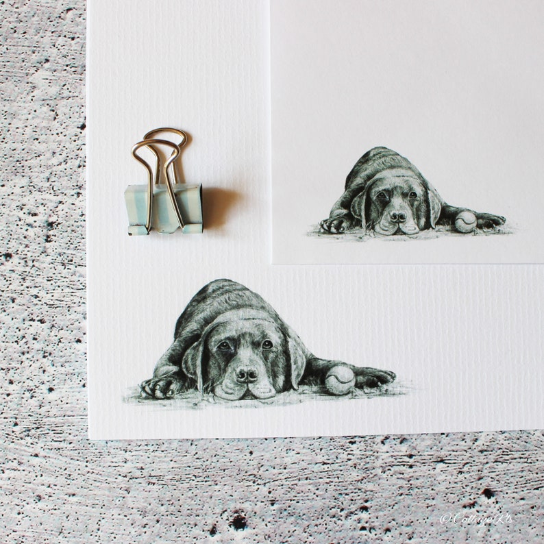 Labrador Dog Letter Writing Paper and Envelope Pack - Designed by ...
