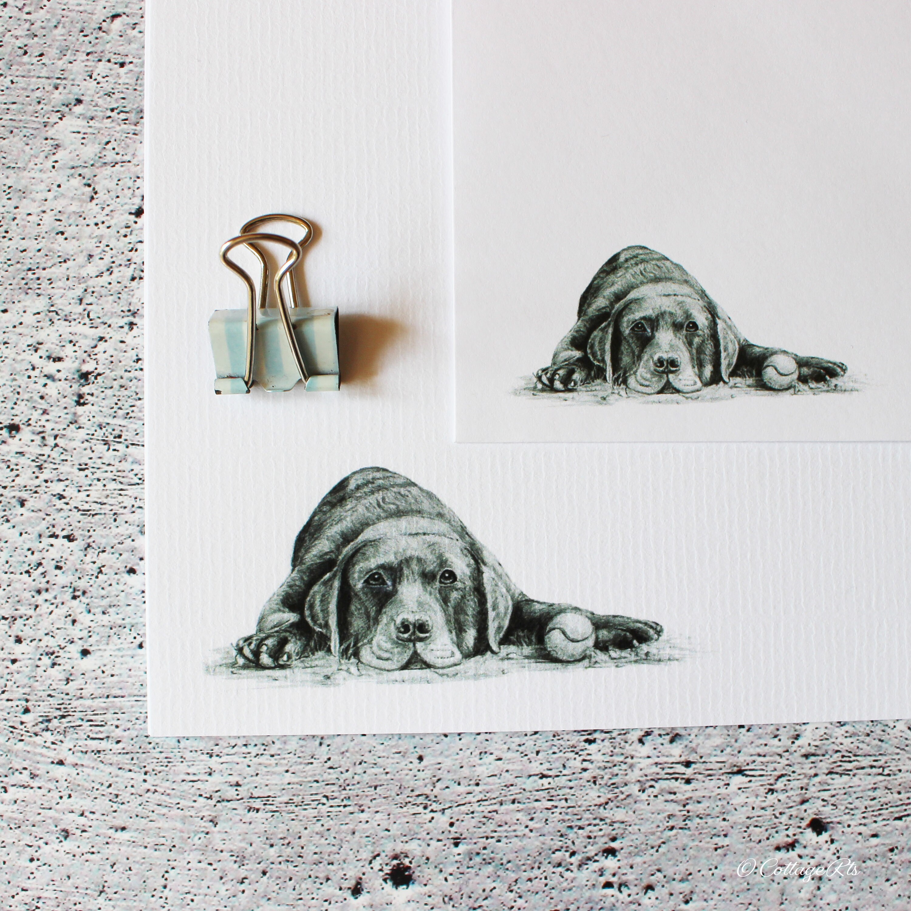 Labrador Dog Letter Writing Paper and Envelope Pack - Designed by ...