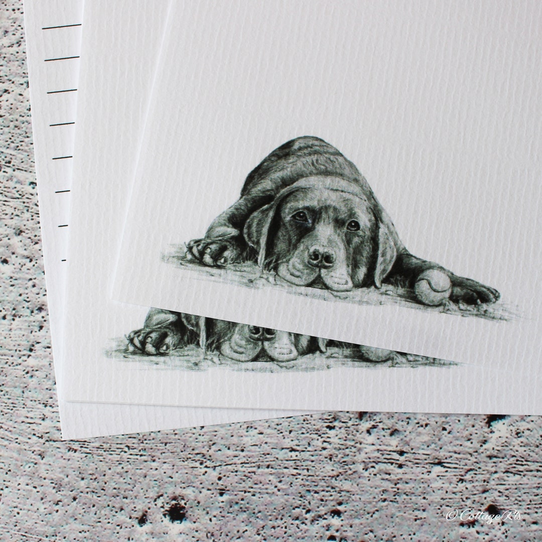 Labrador Dog Letter Writing Paper and Envelope Pack - Designed by ...