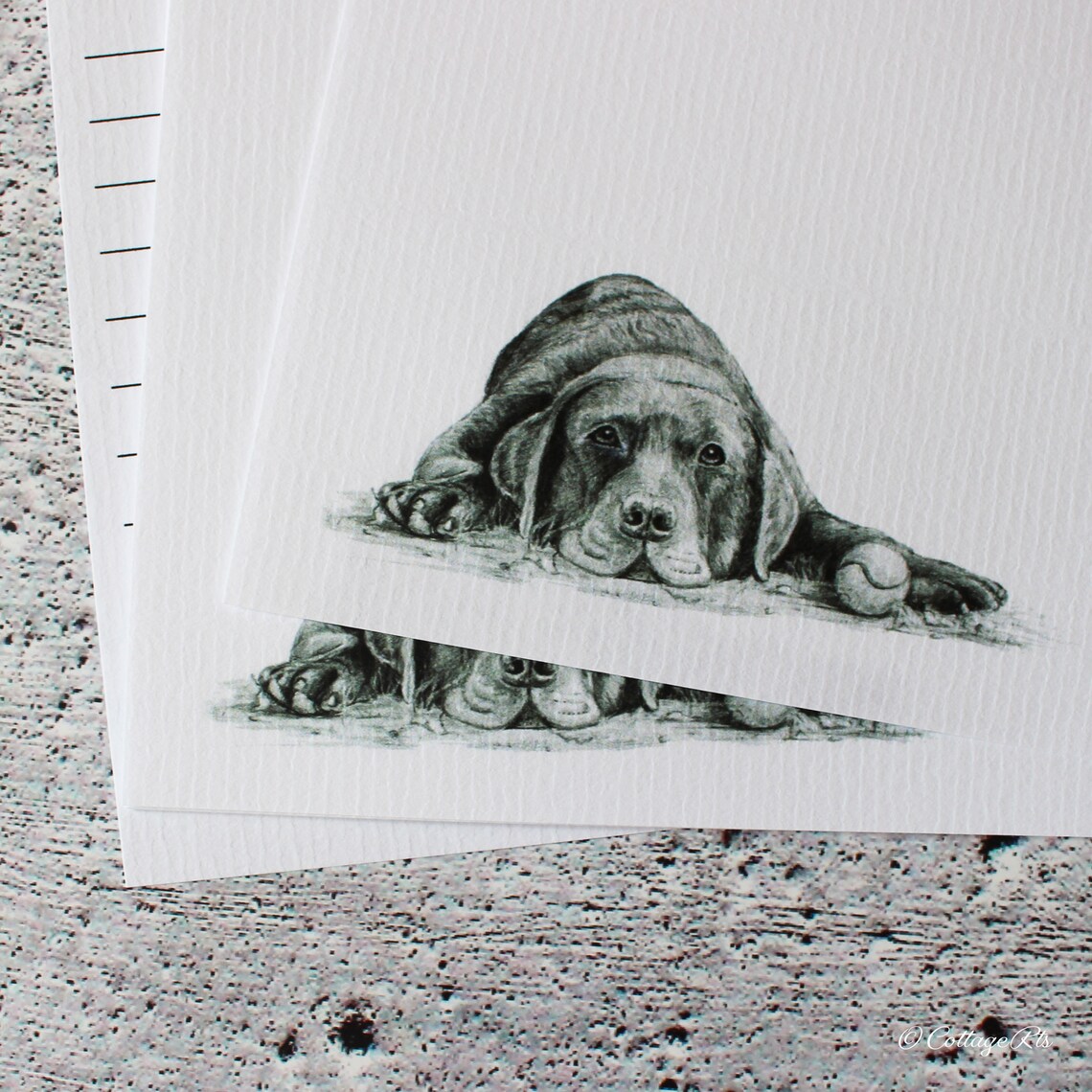 Labrador Dog Letter Writing Paper and Envelope Pack - Designed by ...