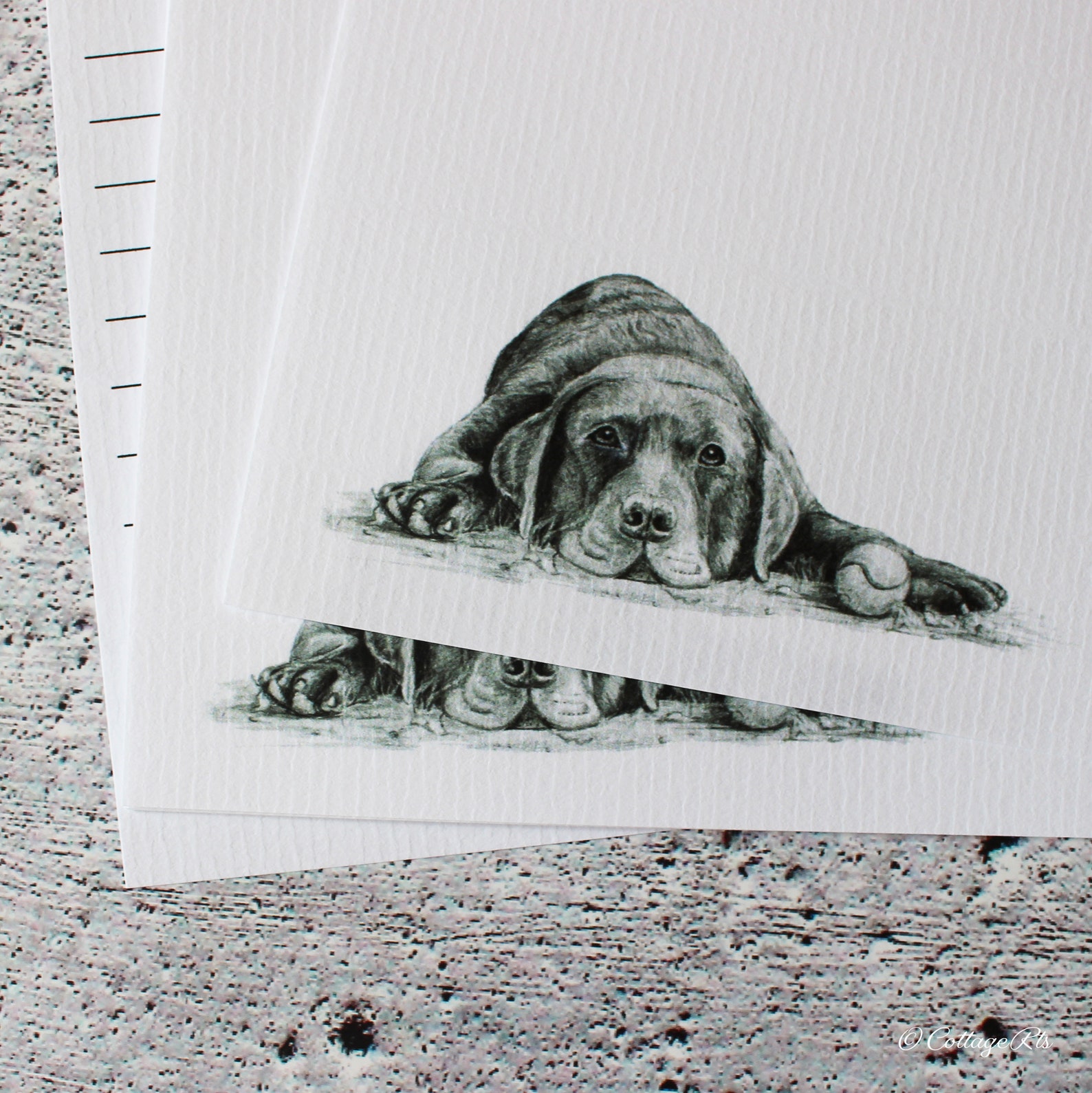 Labrador Dog Letter Writing Paper and Envelope Pack - Designed by ...
