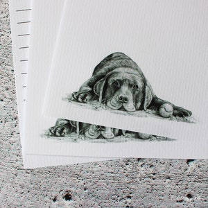 Labrador Dog Letter Writing Paper and Envelope Pack - Designed by ...