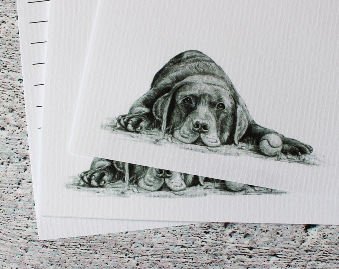 Labrador Dog Letter Writing Paper and Envelope Pack - Designed by ...