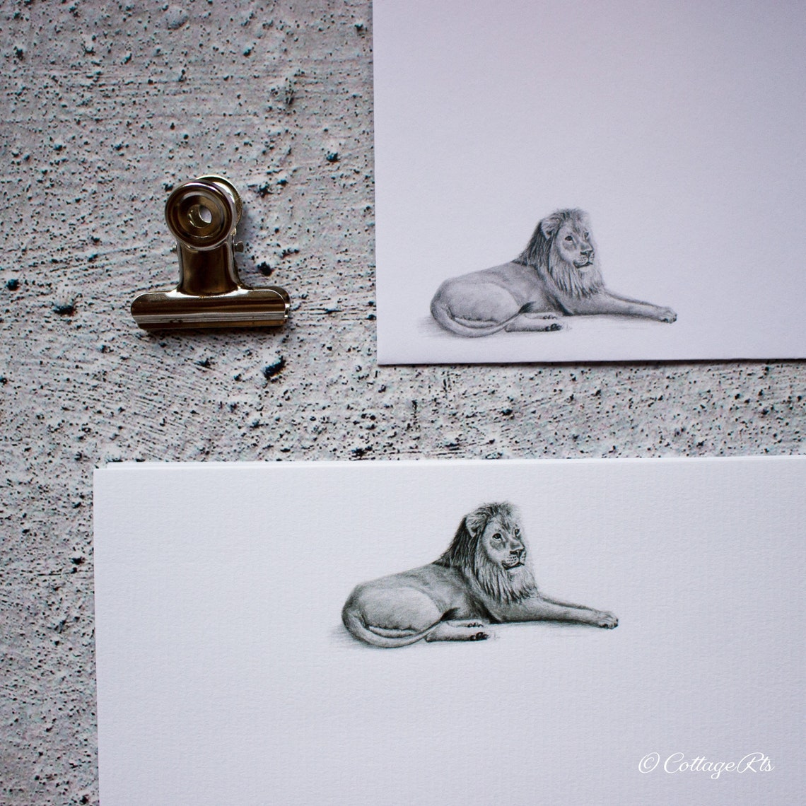 Lion Letter Writing Paper Letter Writing Set Lion Drawing | Etsy UK