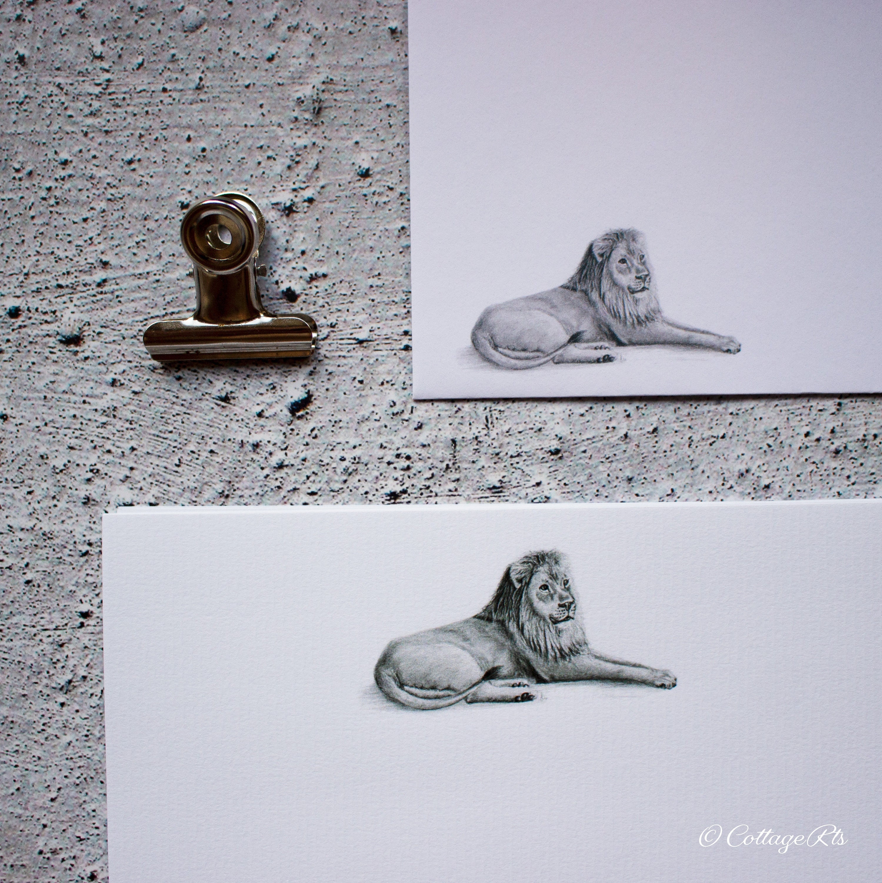 Lion Letter Writing Paper - Letter Writing Set Lion Drawing- Designed ...