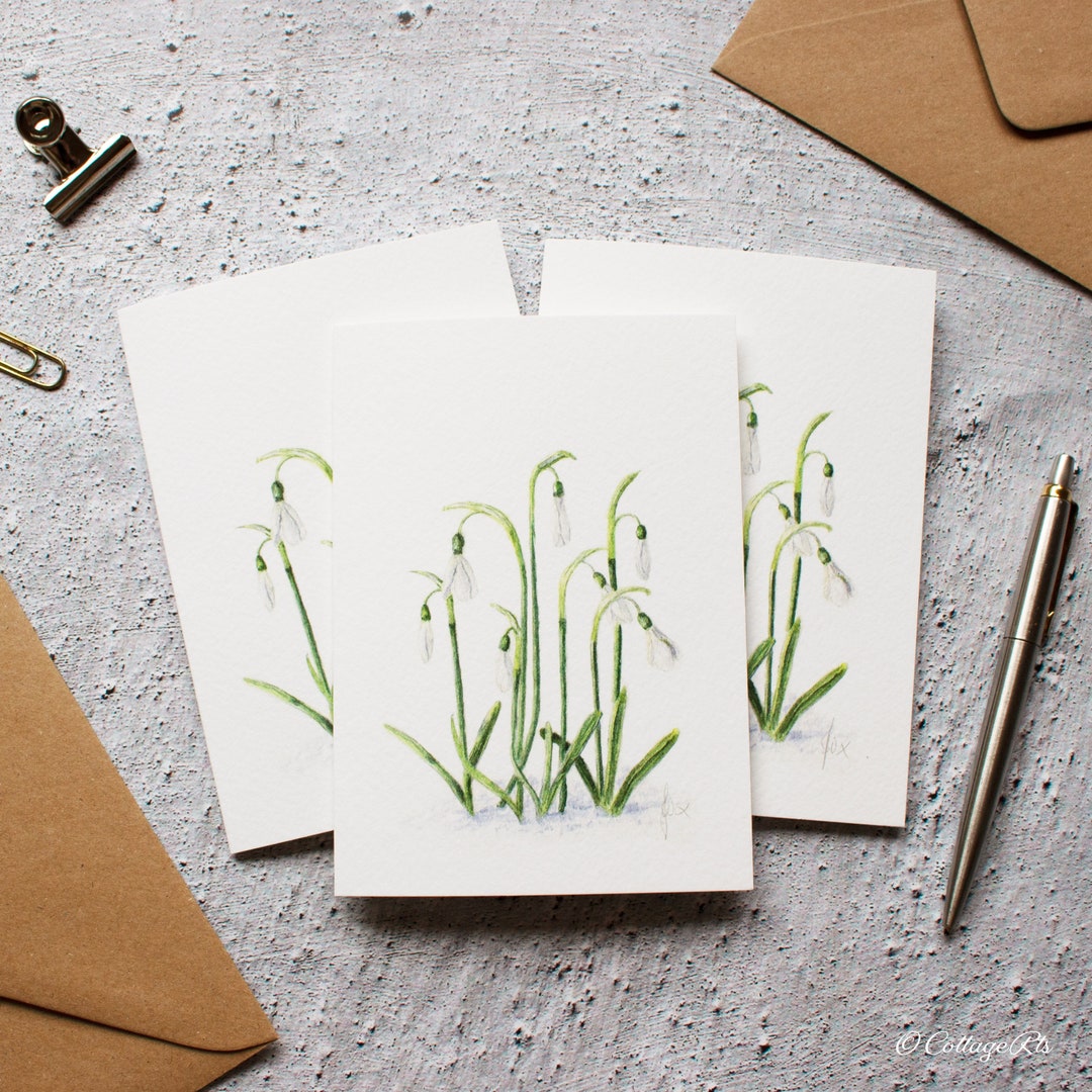 Snowdrop Notecard Set | Pack of 6 Watercolour Cards | Thank You Cards ...