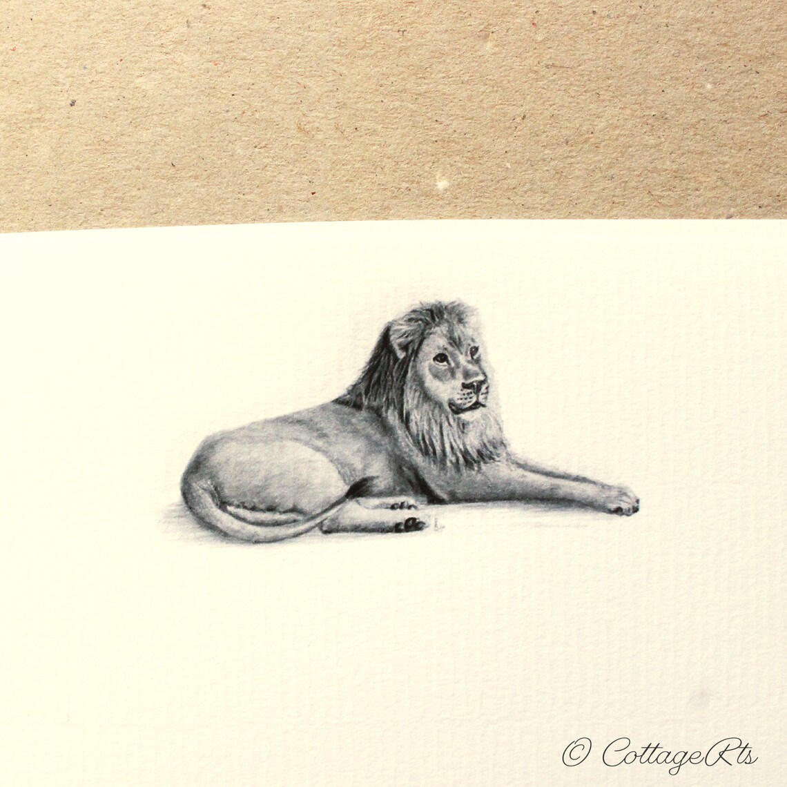 Lion Letter Writing Paper Letter Writing Set Lion Drawing | Etsy