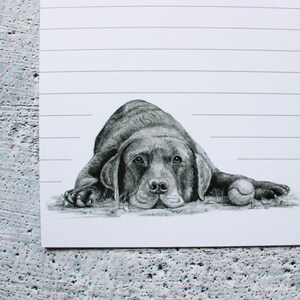 Labrador Dog Lined Letter Writing Stationery Set - Designed by ...