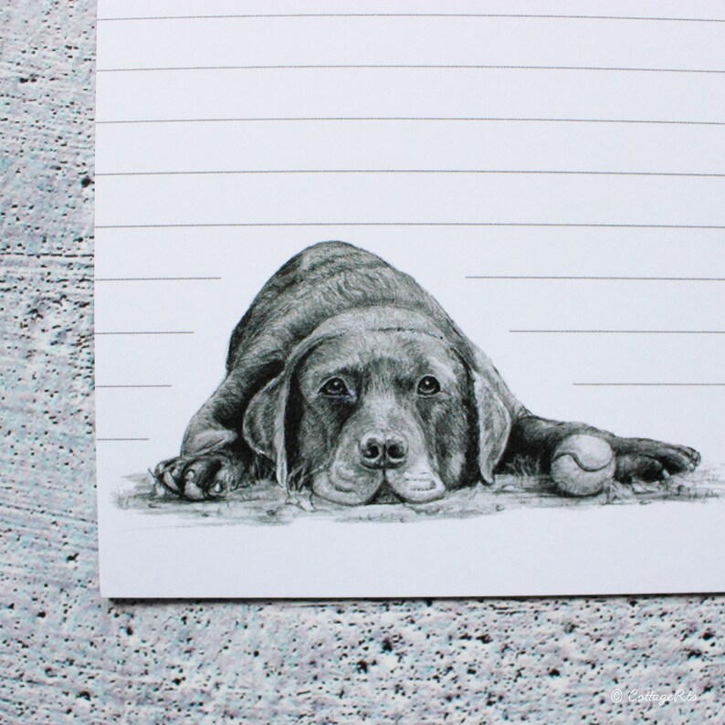 Labrador Dog Lined Letter Writing Stationery Set - Designed by ...