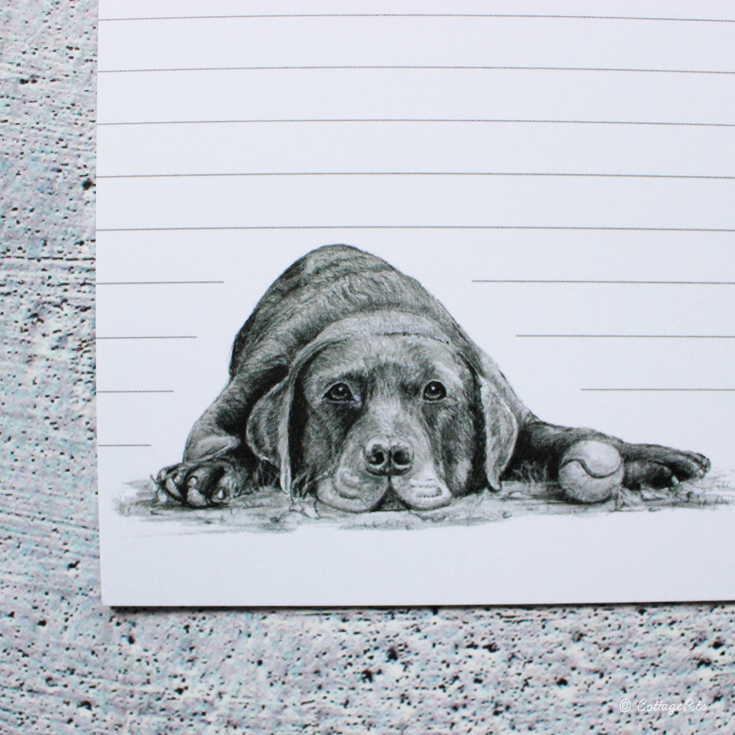 Labrador Dog Lined Letter Writing Stationery Set - Designed by ...