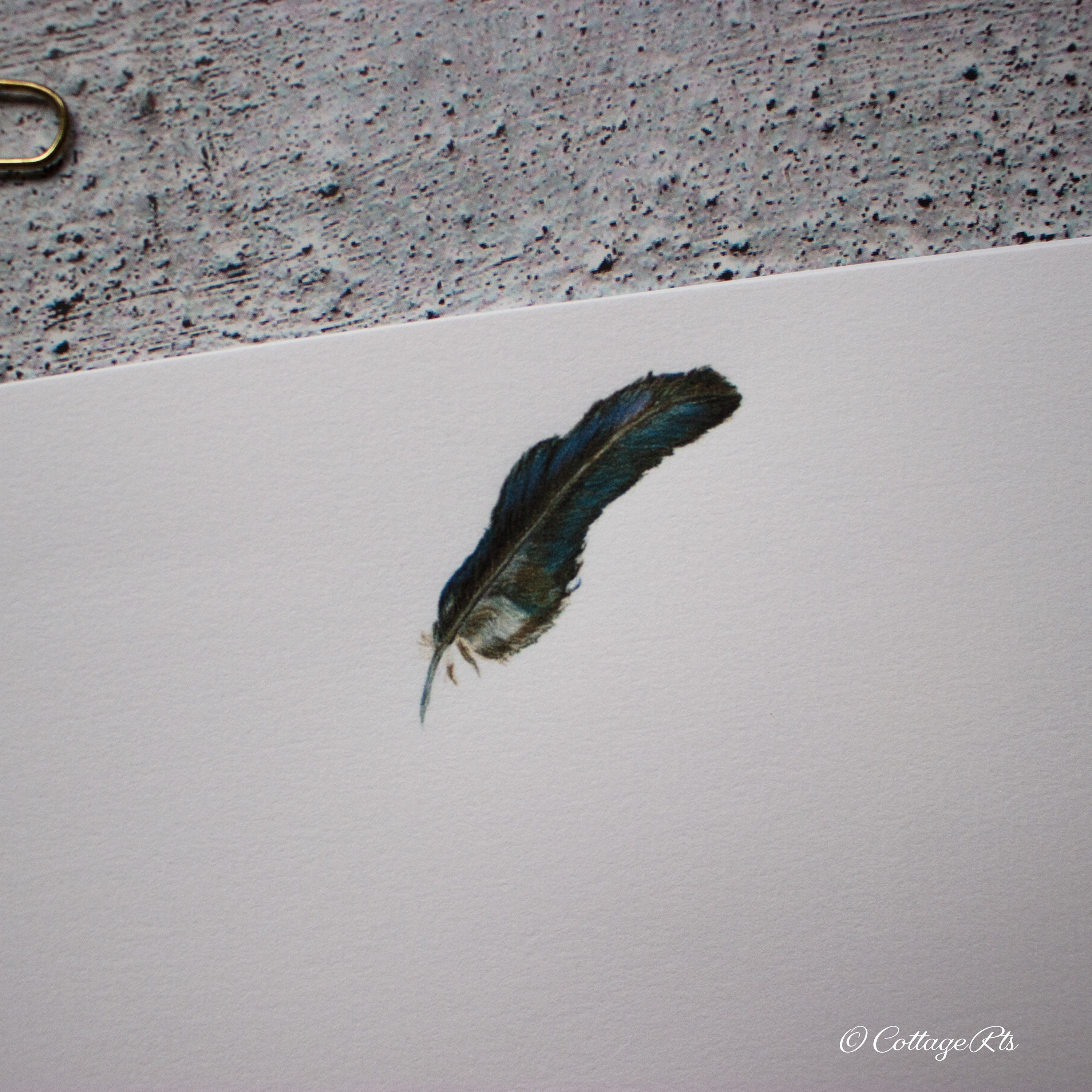 Feather Quill Letter Writing Set Writing Paper and Envelopes - Etsy UK