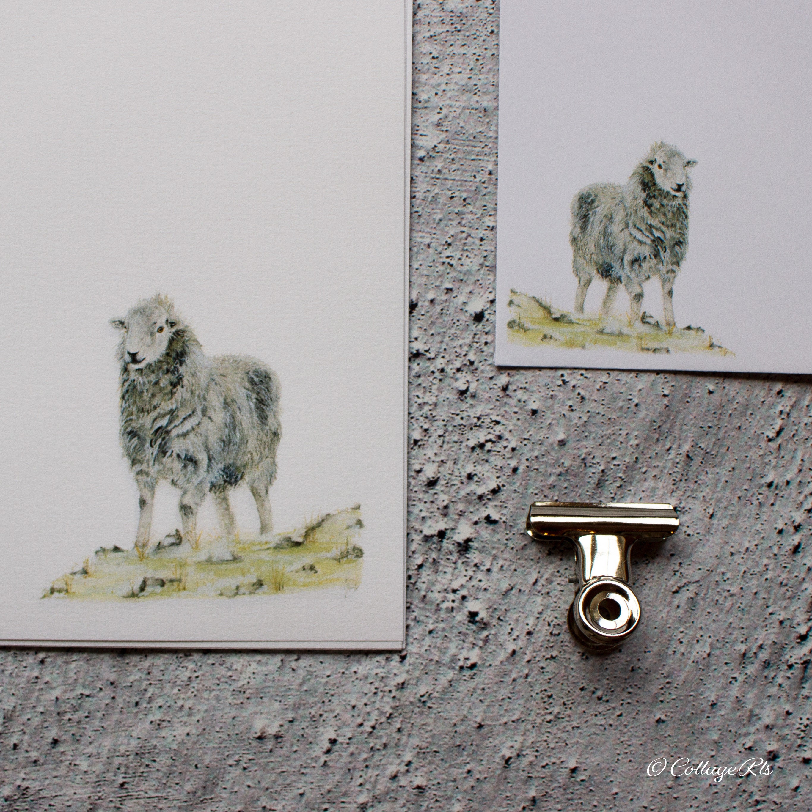 Herdwick Sheep Letter Writing Paper and Envelope Set | Etsy