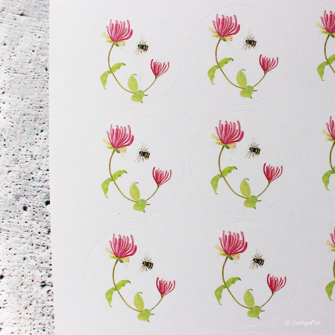 Honeysuckle Flower and Bee Stickers - A4 Sheet of 35 Round Stickers - Etsy