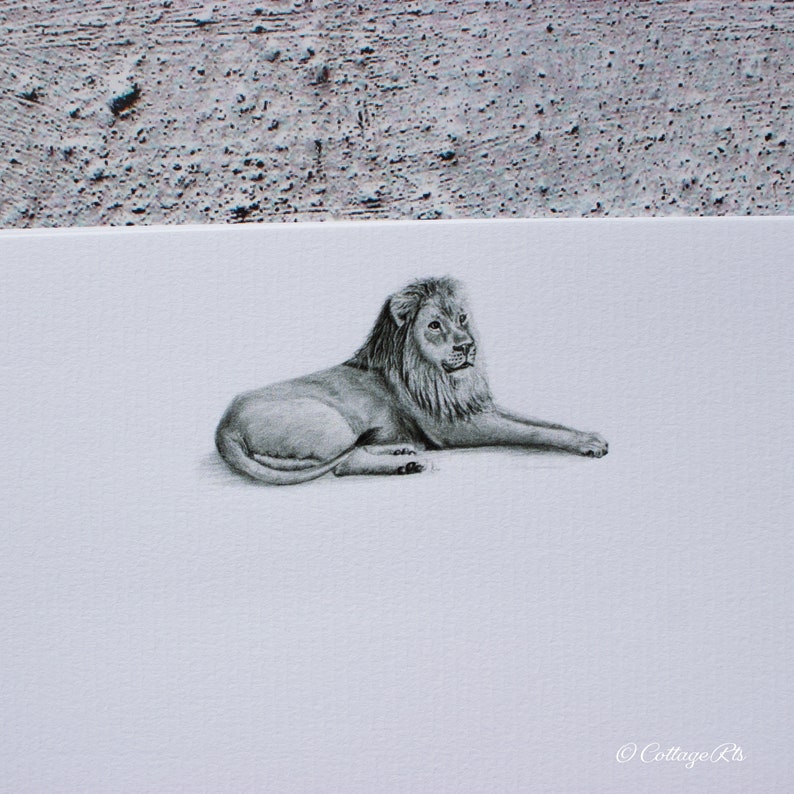 Lion Letter Writing Paper - Letter Writing Set Lion Drawing- Designed ...