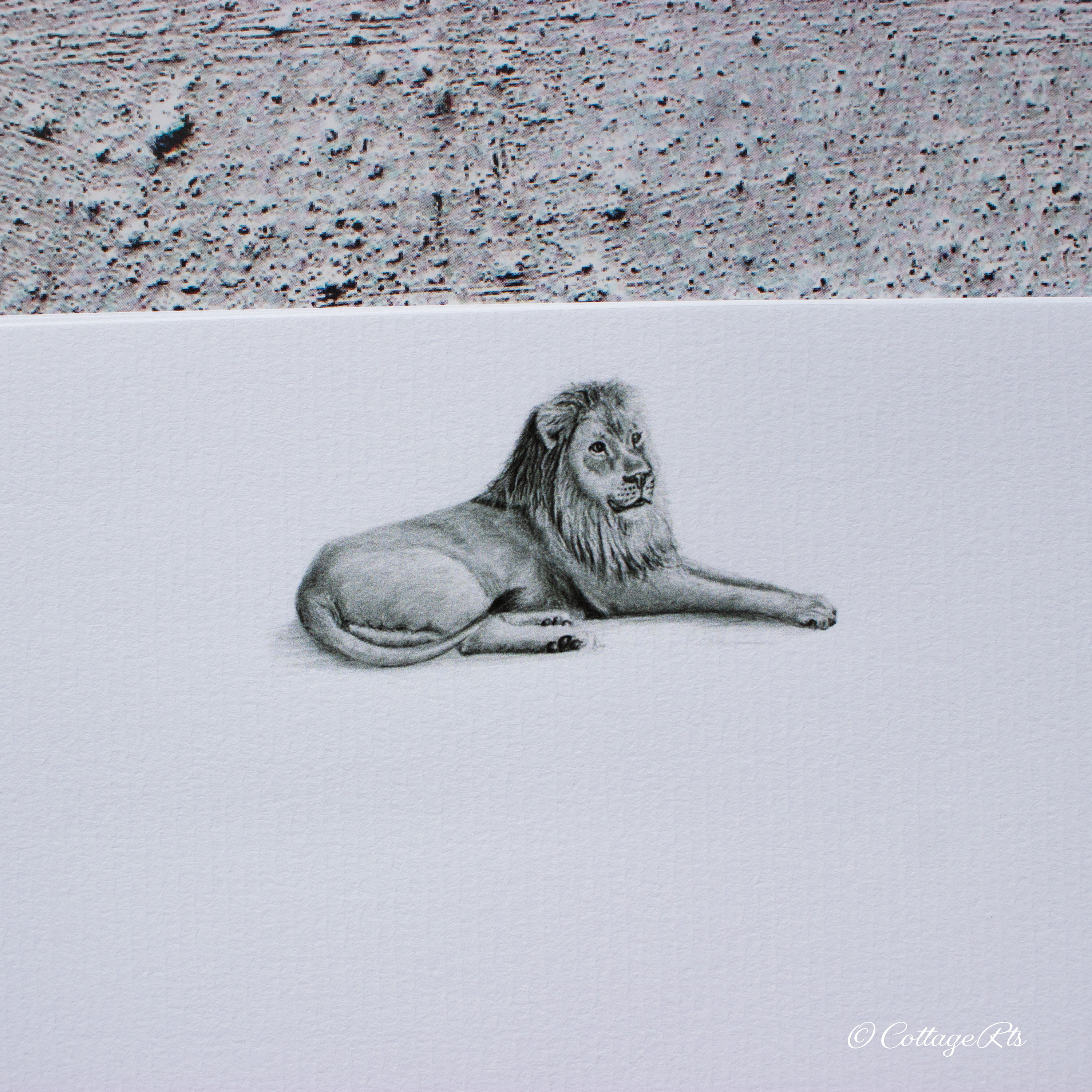 Lion Letter Writing Paper Letter Writing Set Lion Drawing - Etsy UK