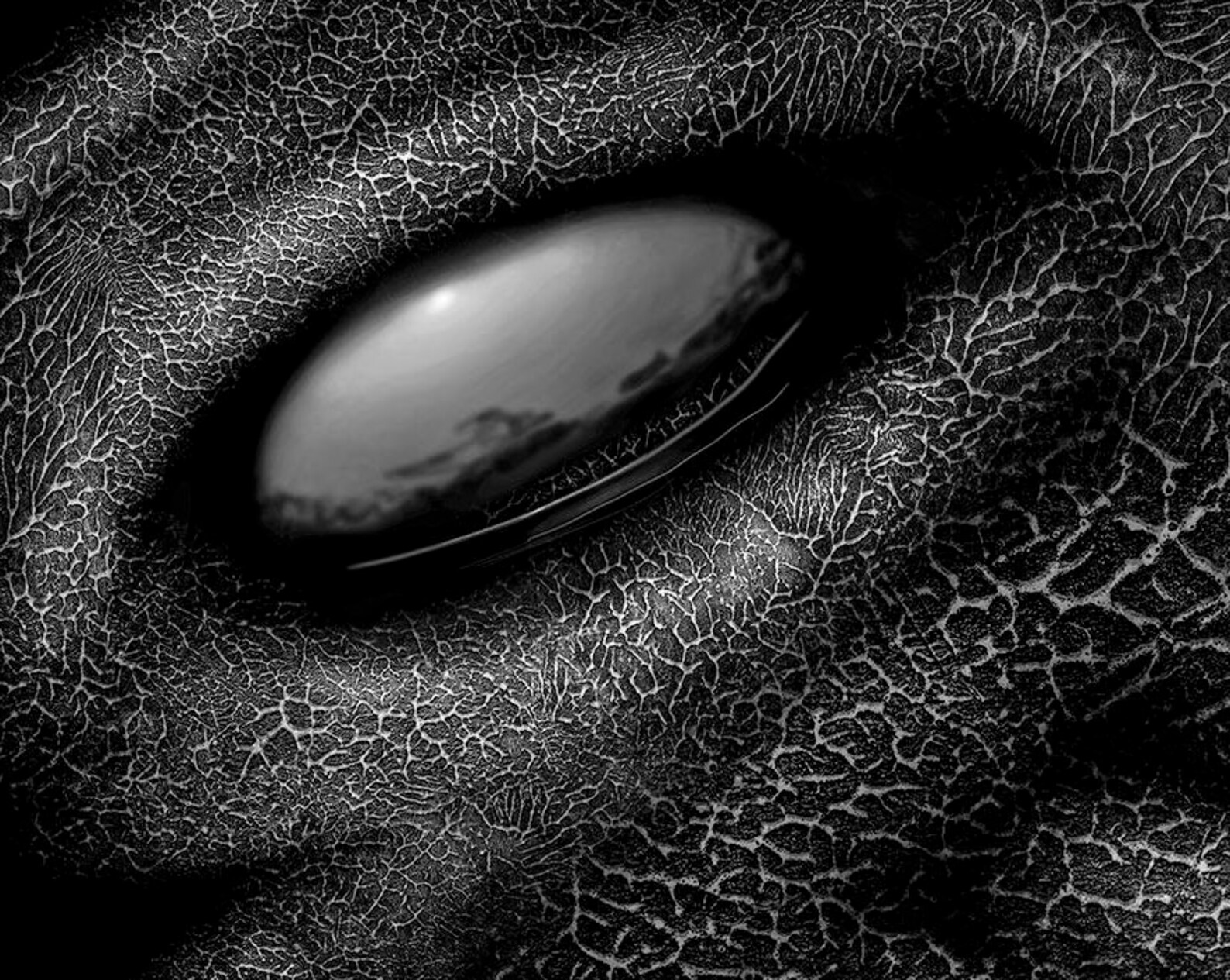 Creepy Veined Alien Monster With Teeth, Black and White, Reflective ...