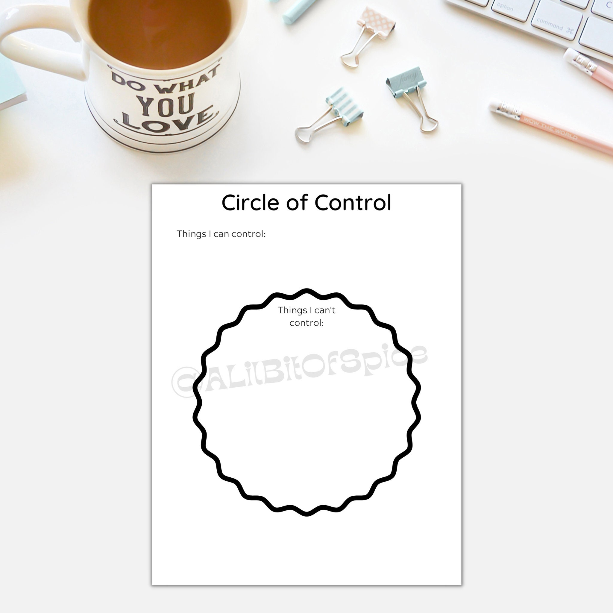 Circle of Control Worksheet, Social Emotional Learning Activity, SEL ...