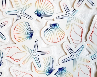 Rainbow Sea Shell - Etsy