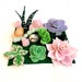 Succulent Garden Forage Mat / Snufflemat - Etsy