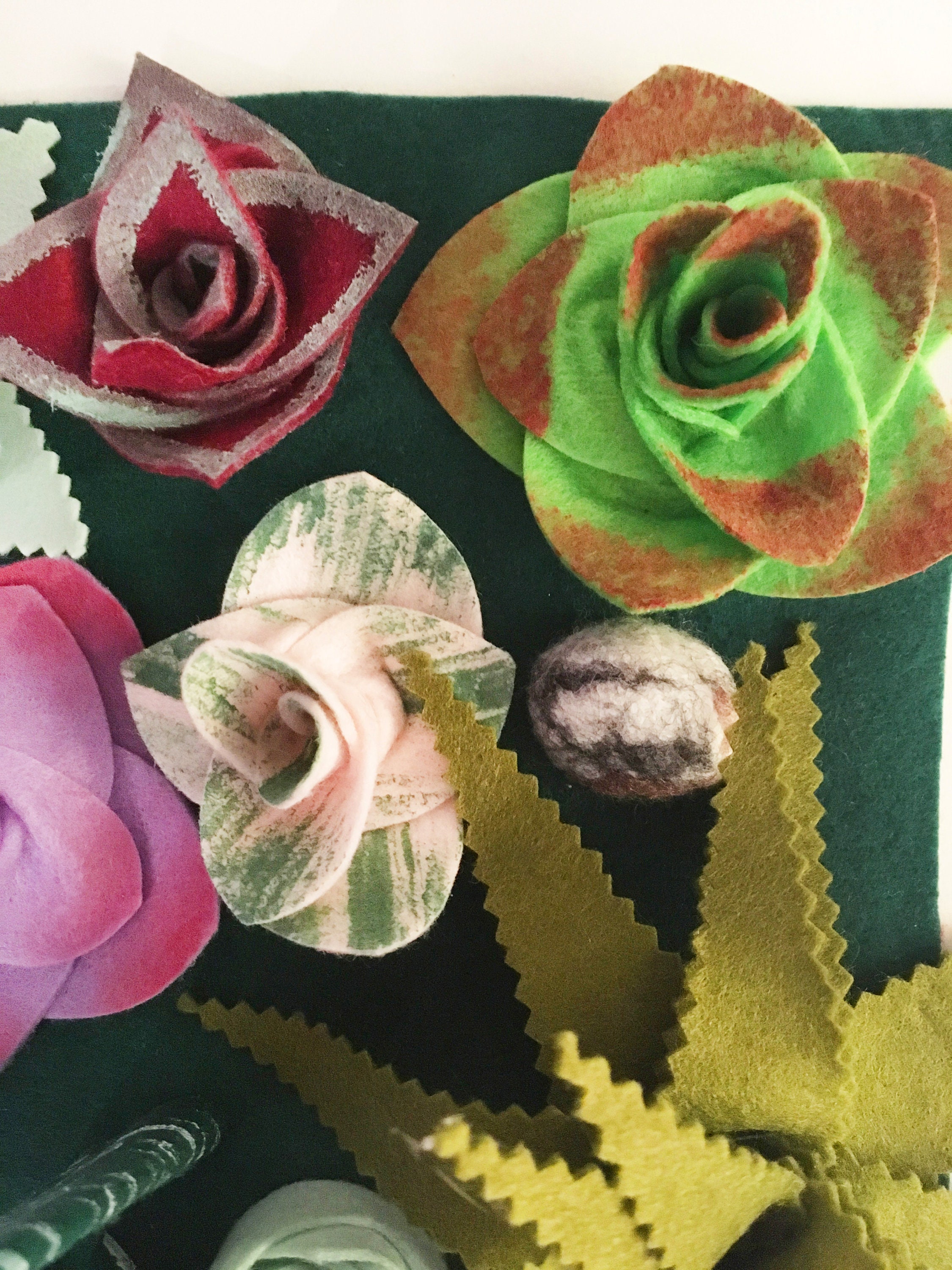 Succulent Garden Forage Mat / Snufflemat - Etsy UK