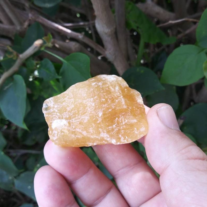 TheRootedCrystal - Etsy
