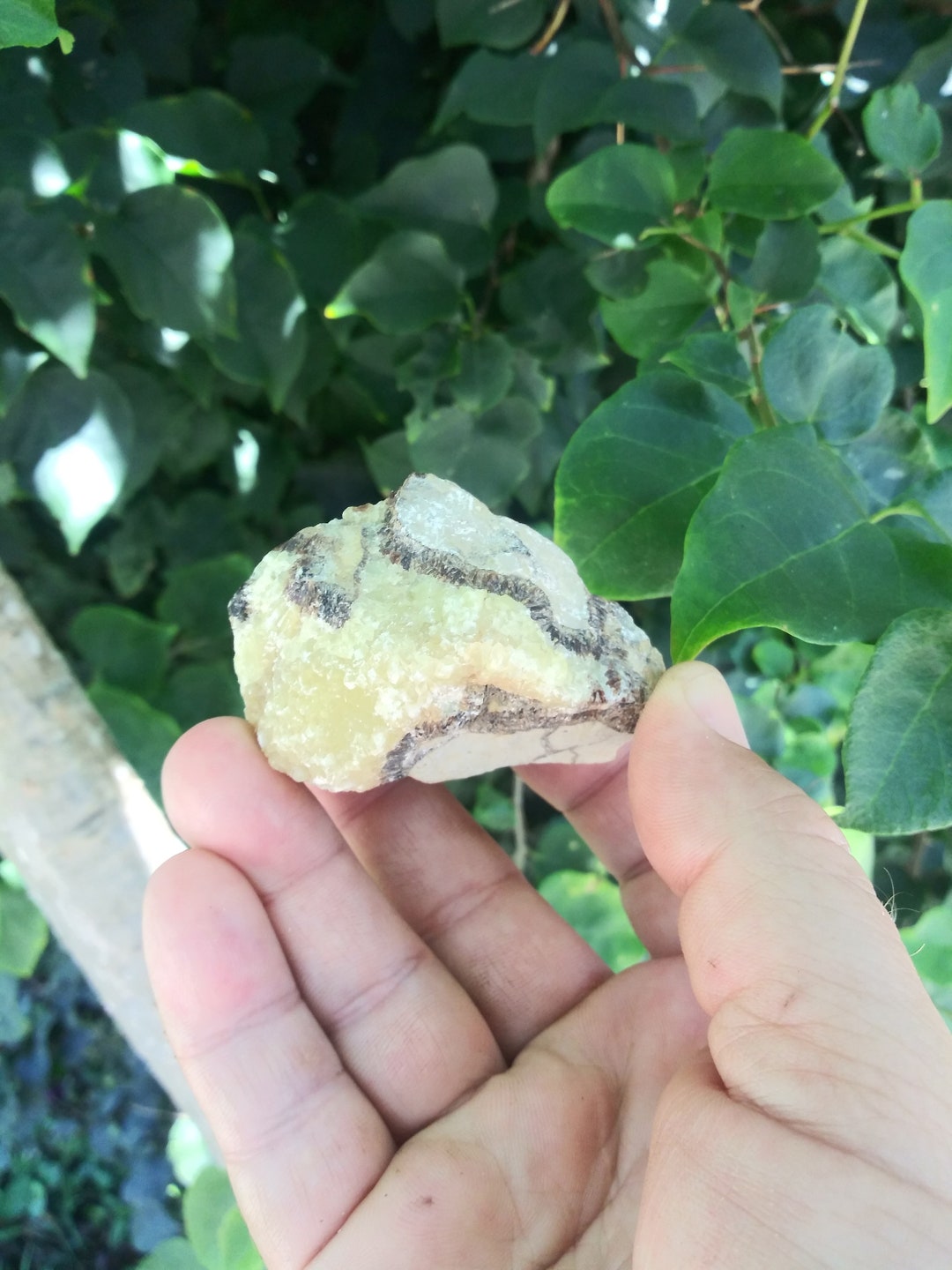 Raw Septarian Crystal Septarian Stone Rough Septarian - Etsy