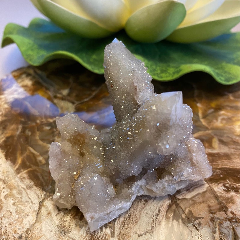 Cactus Quartz - Etsy