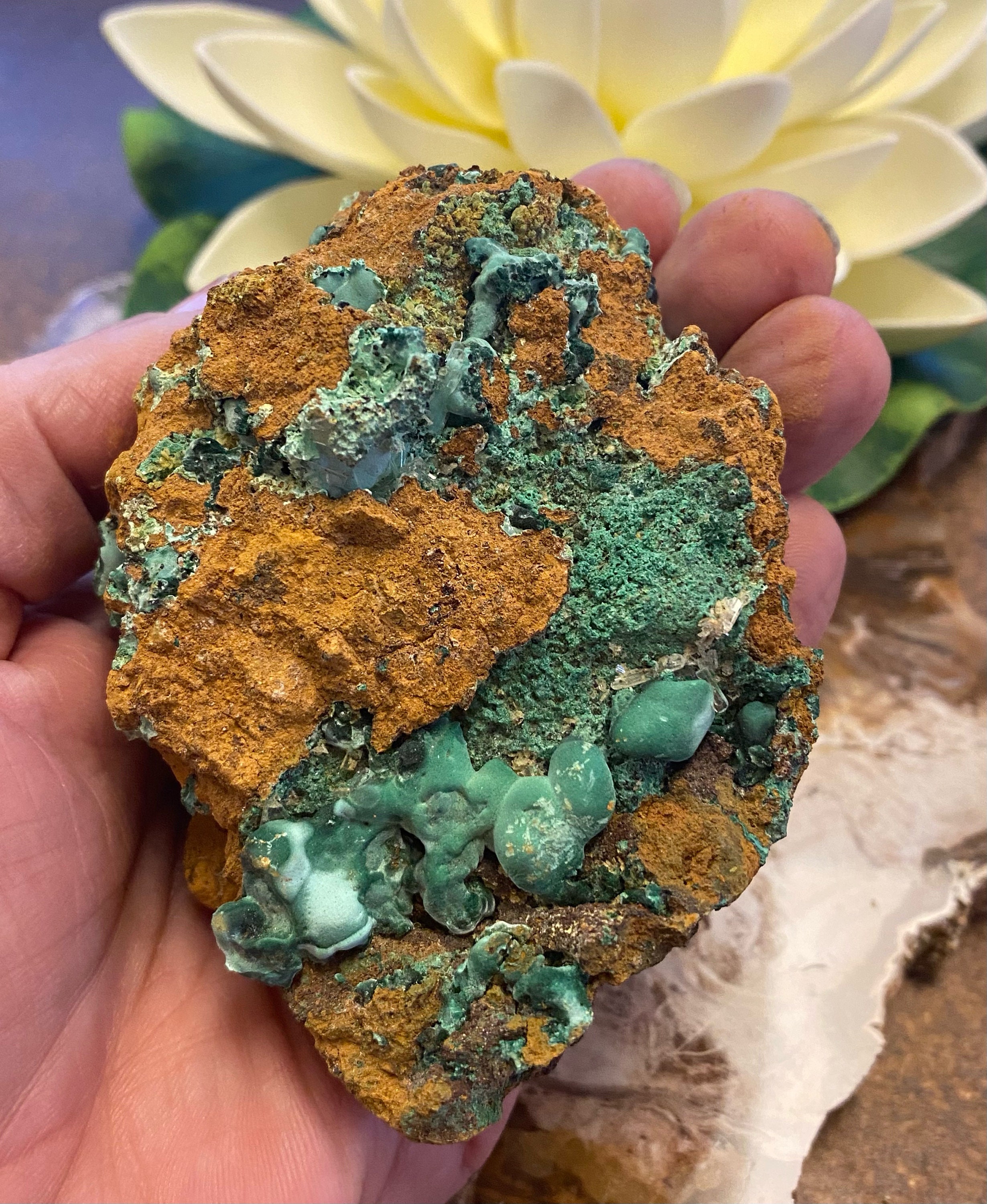 Rosasite Crystal in Limonite Matrix Mineral Specimen ROSA1 - Etsy