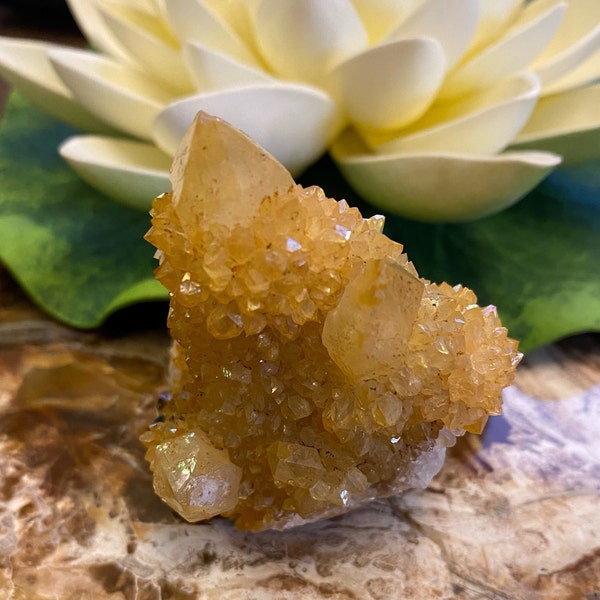 Cactus Quartz - Etsy