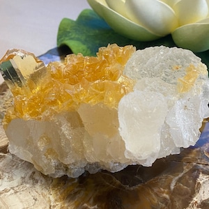 Gypsum Var. Orange Gemmy Bladed Selenite and Halite Crystal Cluster ...