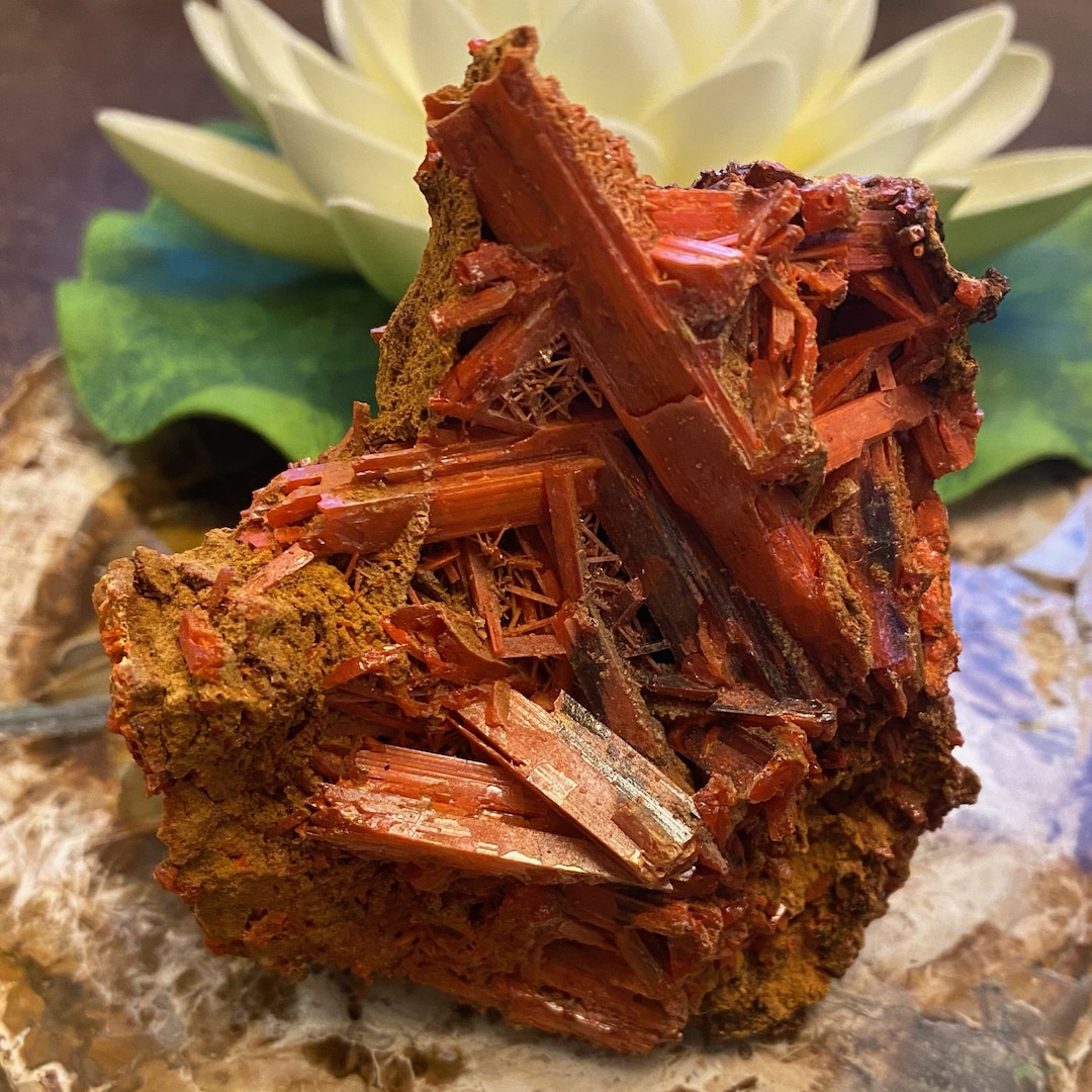 Red/orange Crocoite Crystals on Matrix Specimen CRO2 - Etsy