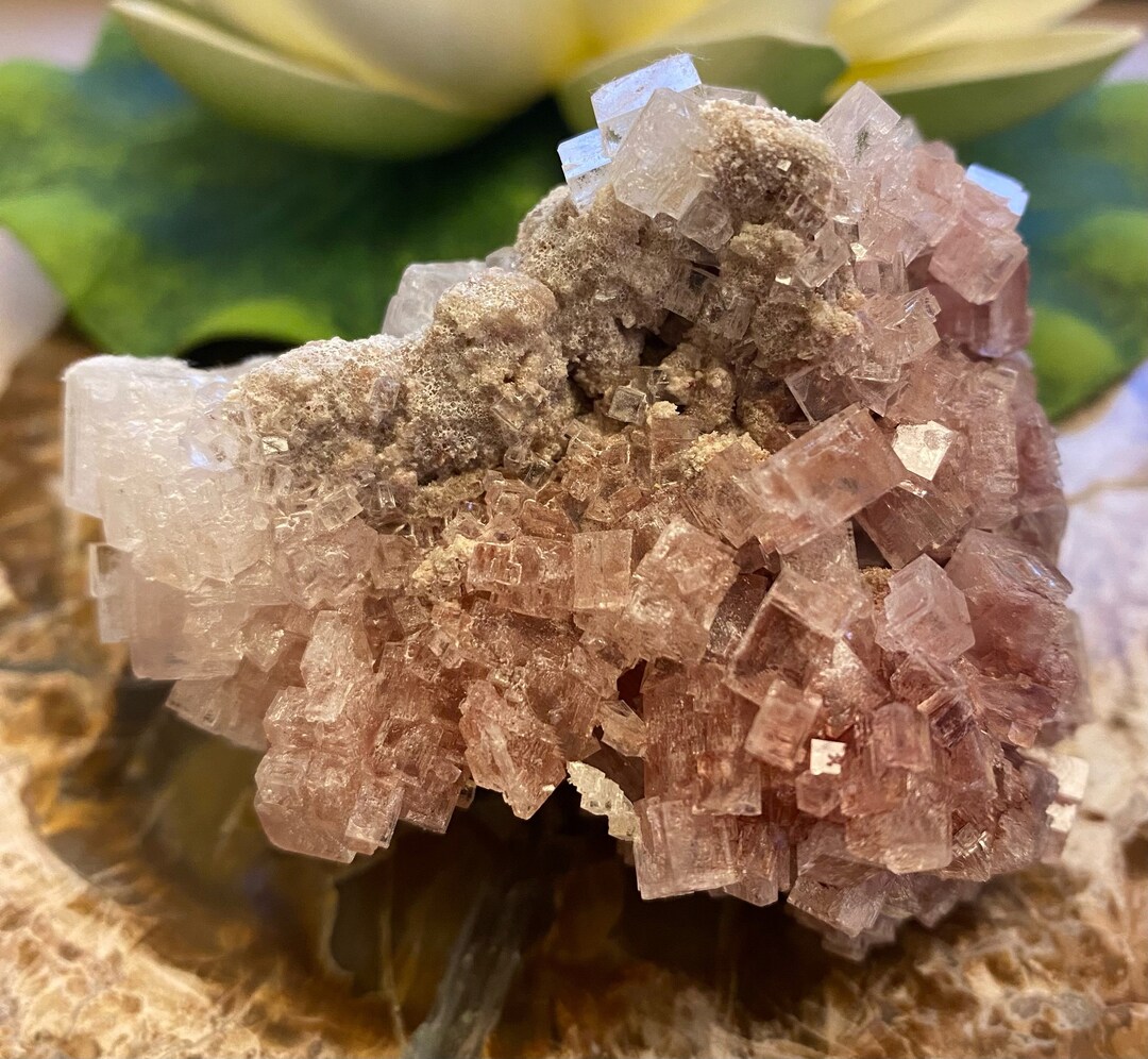 Pink Halite Cluster Mineral Specimen HAL26 - Etsy