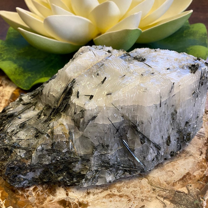 Actinolite Specimen - Etsy