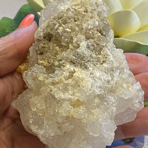 Gypsum Var. Orange Gemmy Bladed Selenite and Halite Crystal Cluster ...