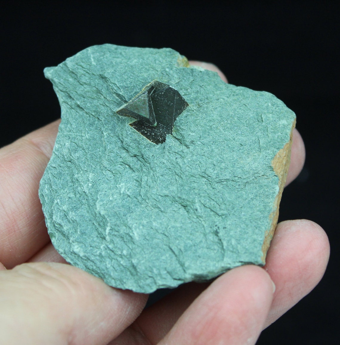 Magnetite Crystal in Talc Schist Matrix Mineral Specimen MAG4 | Etsy