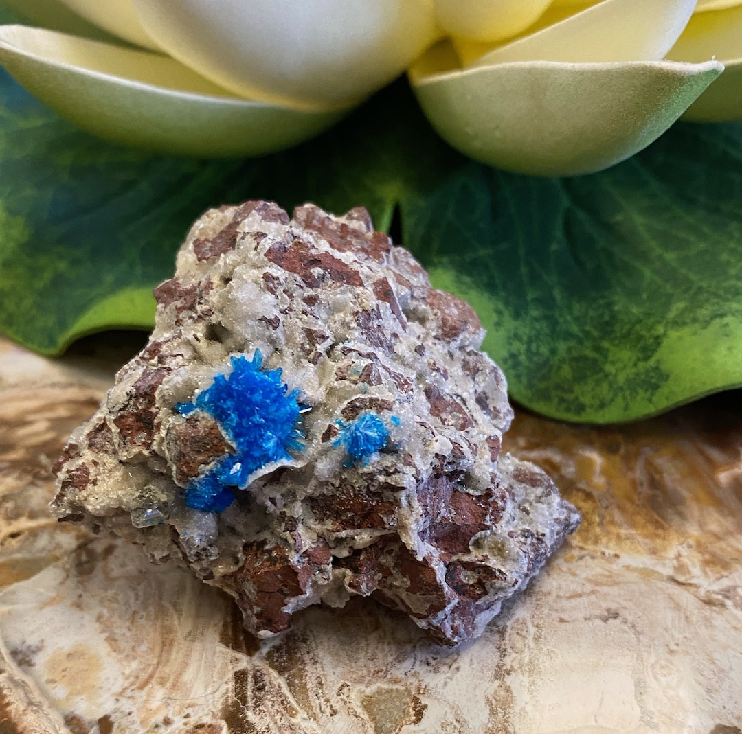 Pentagonite Crystal Cluster on Matrix Mineral Specimen PEN21 - Etsy