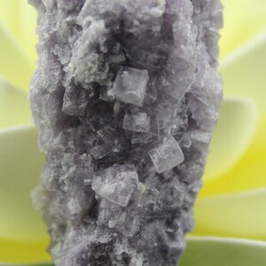 Purple Fluorite on Barite, Quartz Mineral Specimen Dorris Family Mined ...