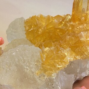 Gypsum Var. Orange Gemmy Bladed Selenite and Halite Crystal Cluster ...
