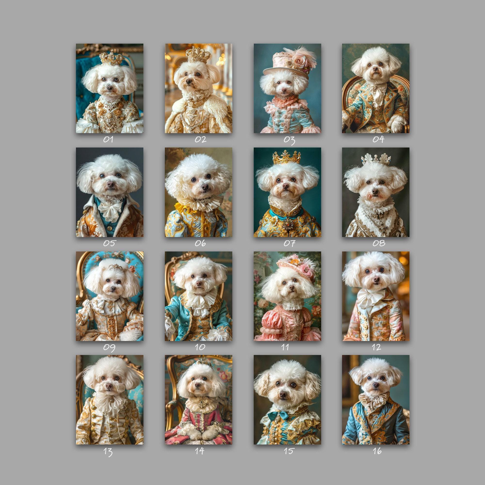 Custom Costume Portrait From Photo | Bichon Frisé Dog Pet in Rococo ...