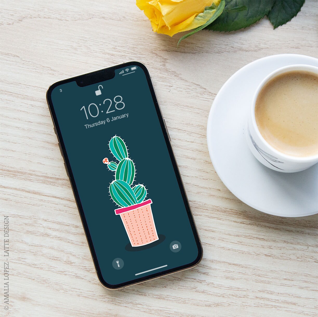 6 Cactus Phone Wallpaper. Teal iPhone Wallpaper. Botanical - Etsy