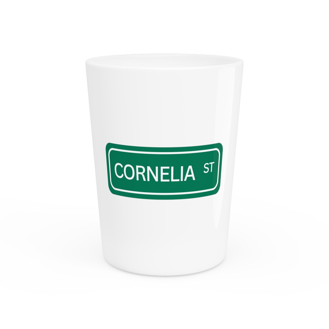 Cornelia Street, Taylor Swift, Street Sign Shot Glass - Etsy