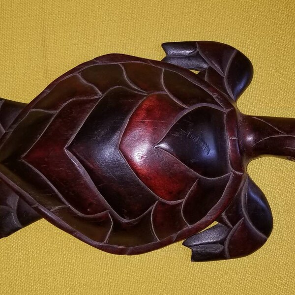 Large Turtle Shell - Etsy