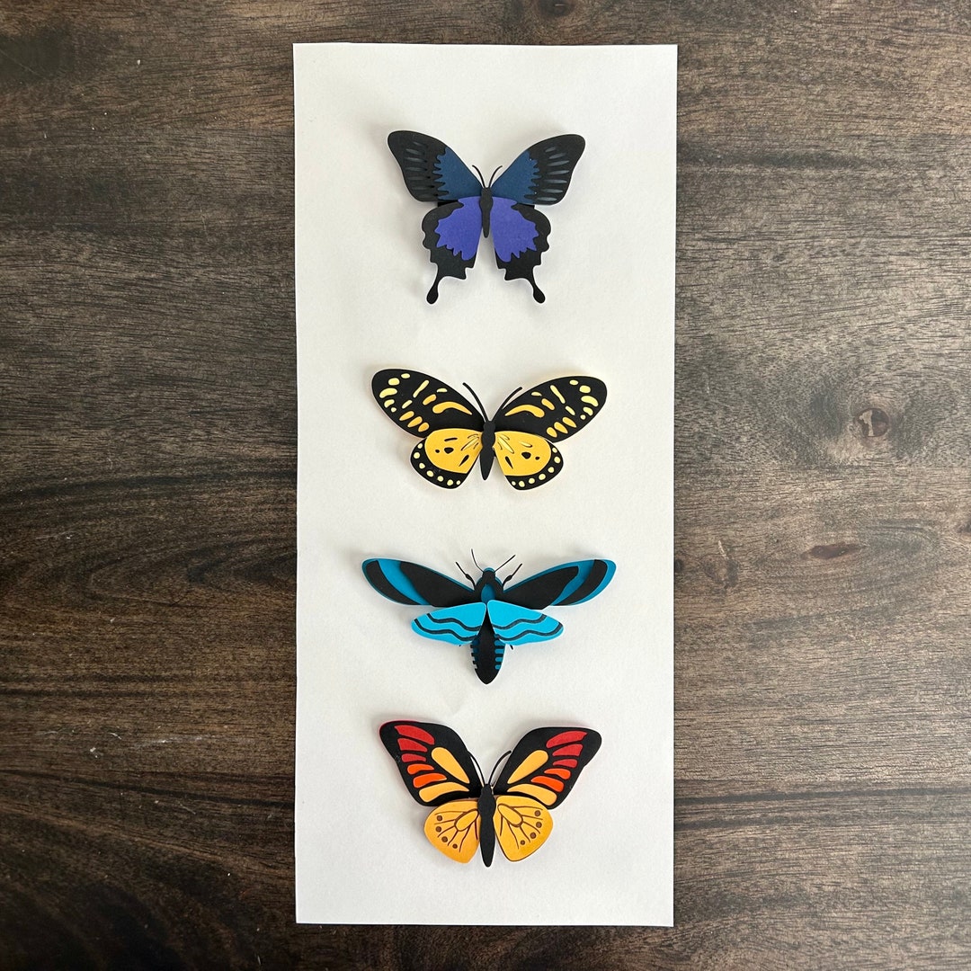 Papercut Butterflies and Moth | Entomology Art | Framed Wall Art ...