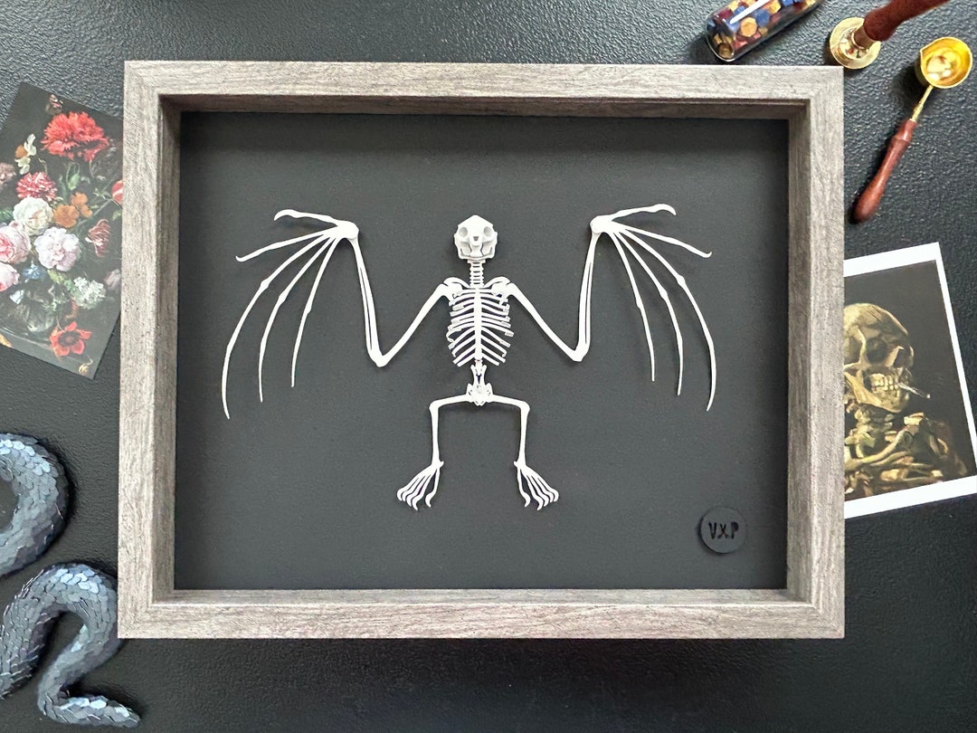 Paper Cut Bat Skeleton | Framed Bat Skeleton | Fake Bat Skeleton ...