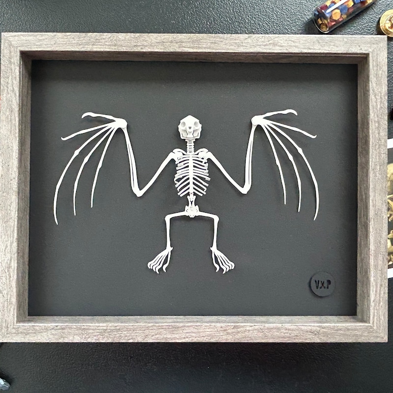 Taxidermy Bat - Etsy